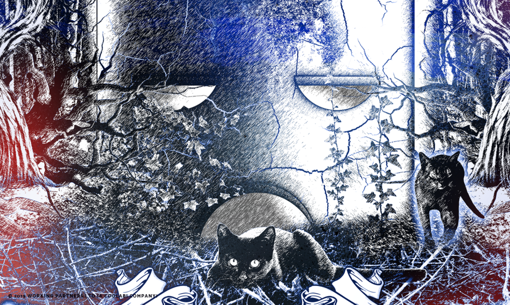 How well do you know ShadowClan? | Warrior Cats