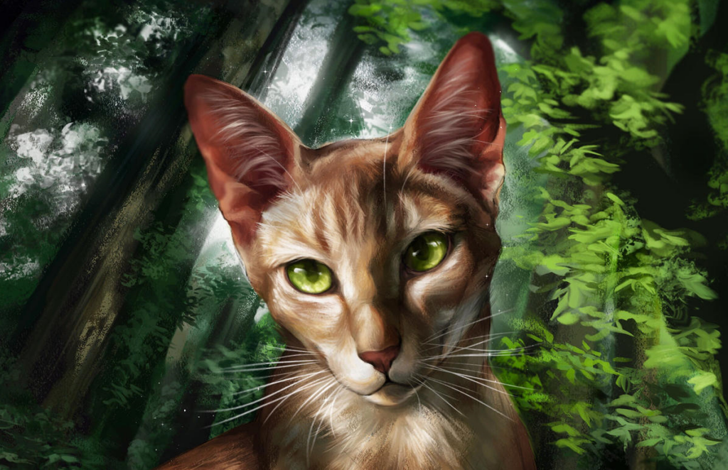 Top five reasons Sandstorm is awesome | Warrior Cats