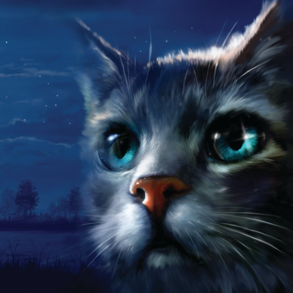 Mistystar | Warrior Cats