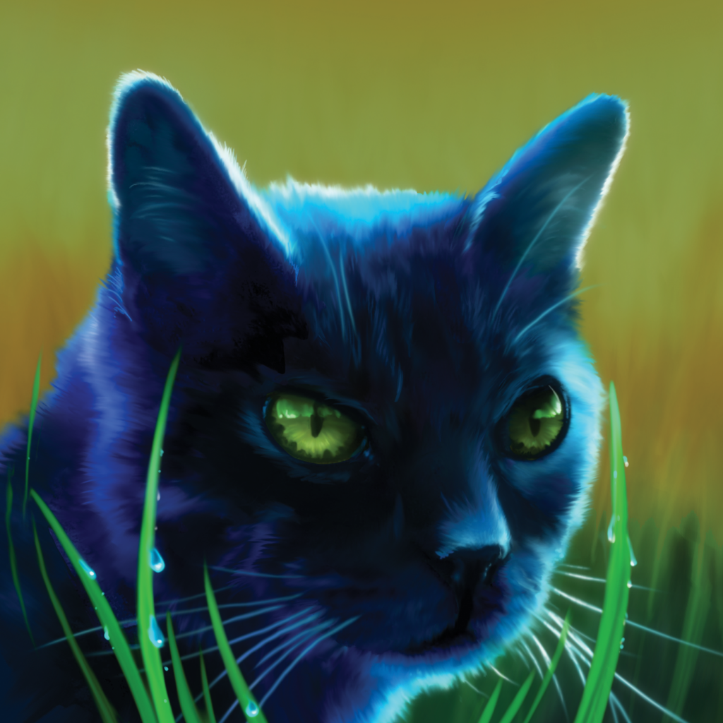 Ravenpaw | Warrior Cats