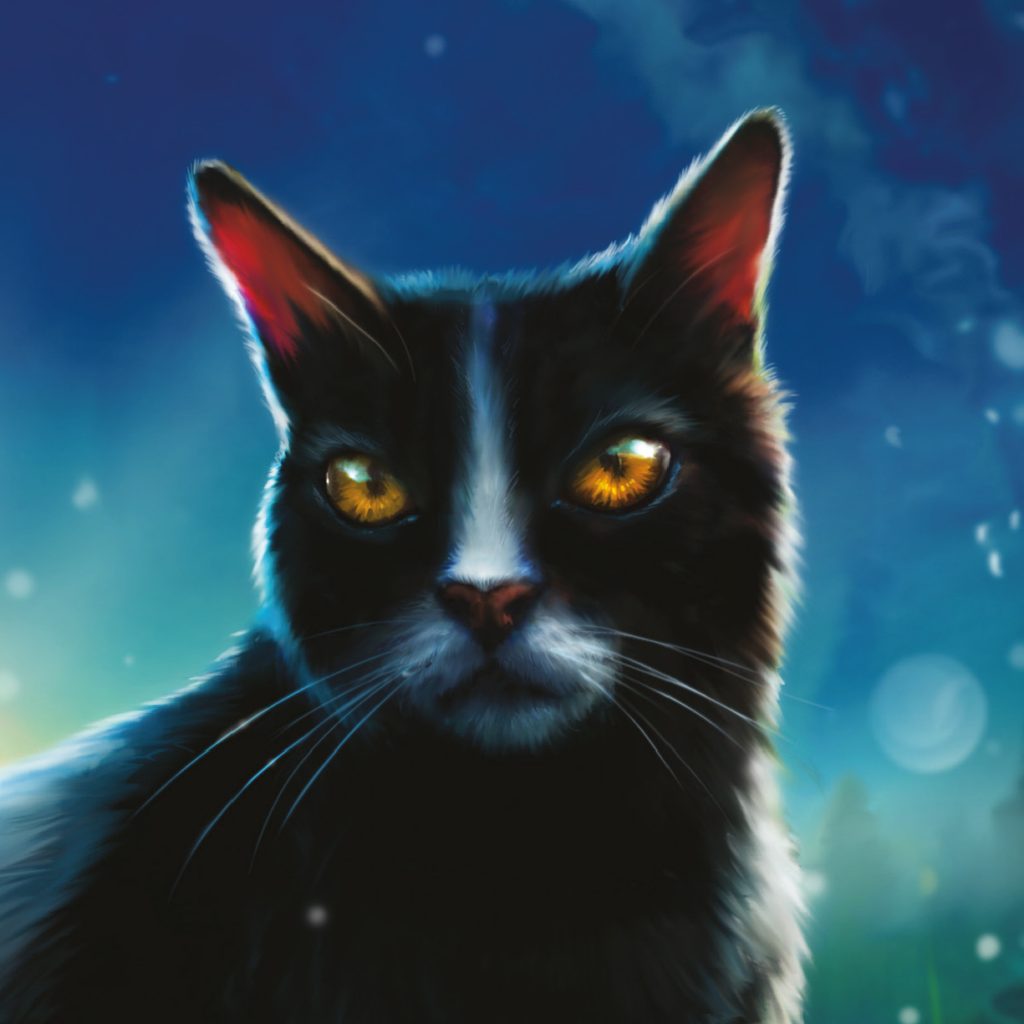 Tallstar | Warrior Cats