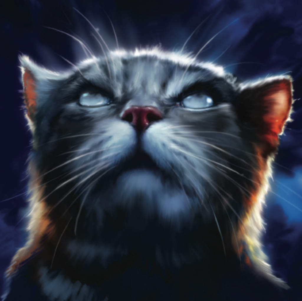 Jayfeather | Warrior Cats
