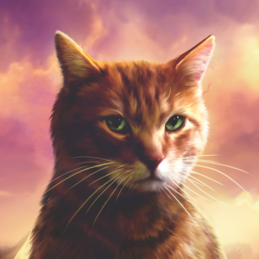 Splashtail | Warrior Cats