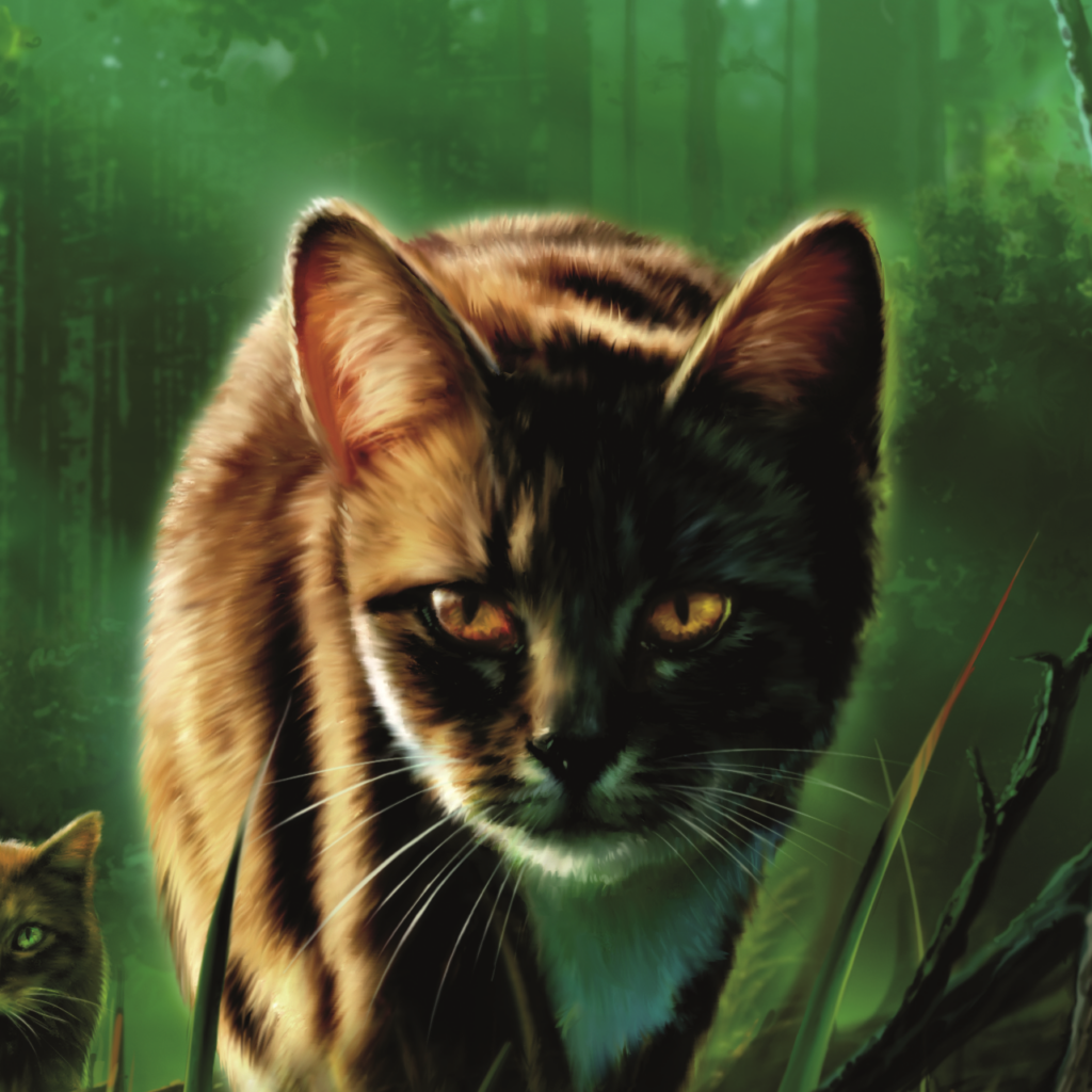 Sunbeam | Warrior Cats