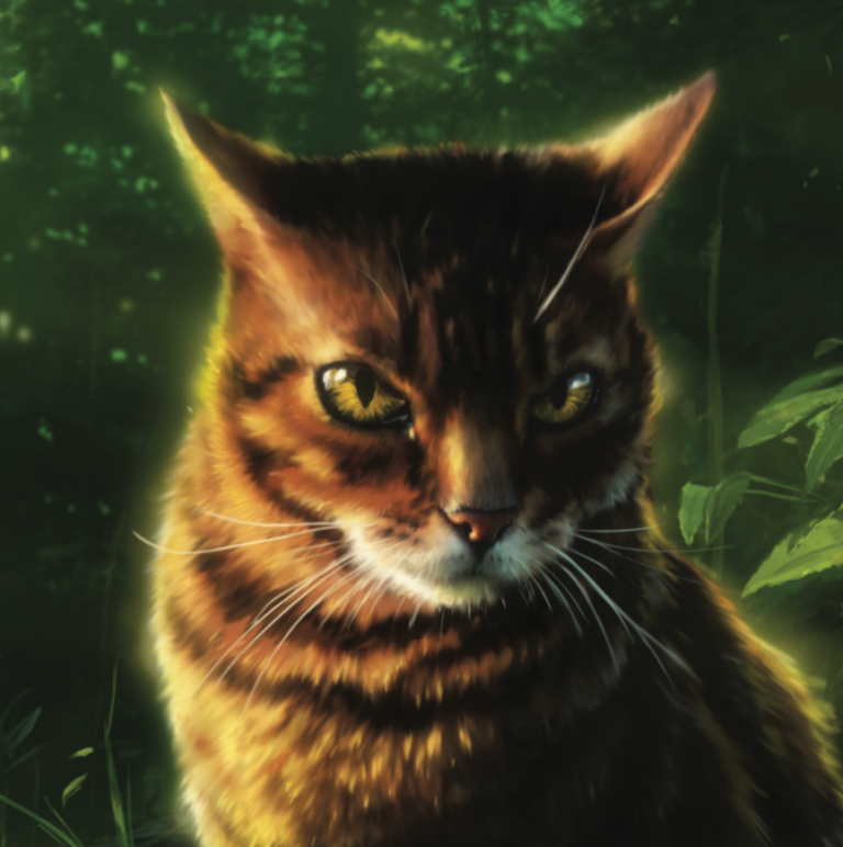 | Warrior Cats