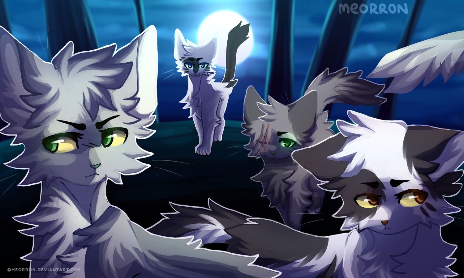 Fan Warrior Cats